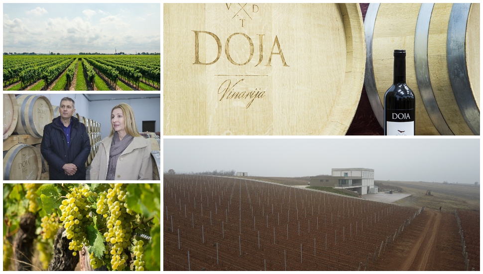 (FOTO) TODIĆI NASTAVILI PORODIČNU TRADICIJU PROIZVODNJE VINA Vinarija ...