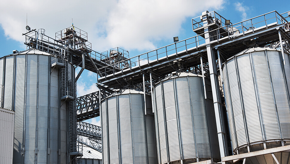 Srbija ima ogromne logističke probleme za izvoz žitarica | Biznis.rs