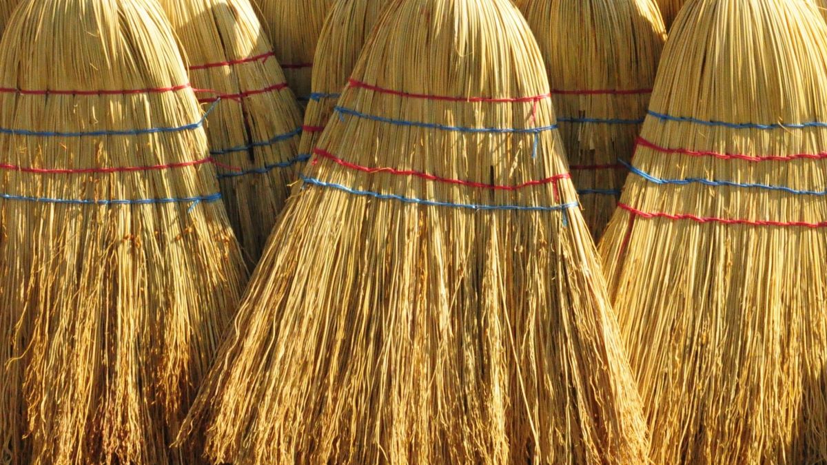 Srbija visoko pozicionirana po proizvodnji sirkovih metli | Biznis.rs