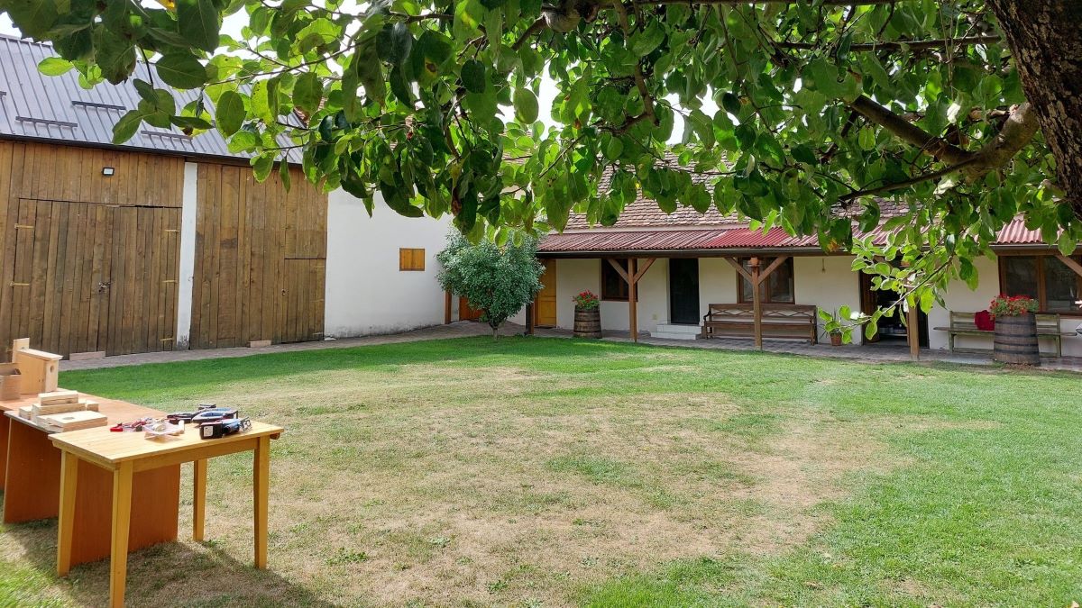 Avlija Bogatić: Od zapuštenog imanja do mesta za novi početak | Biznis.rs